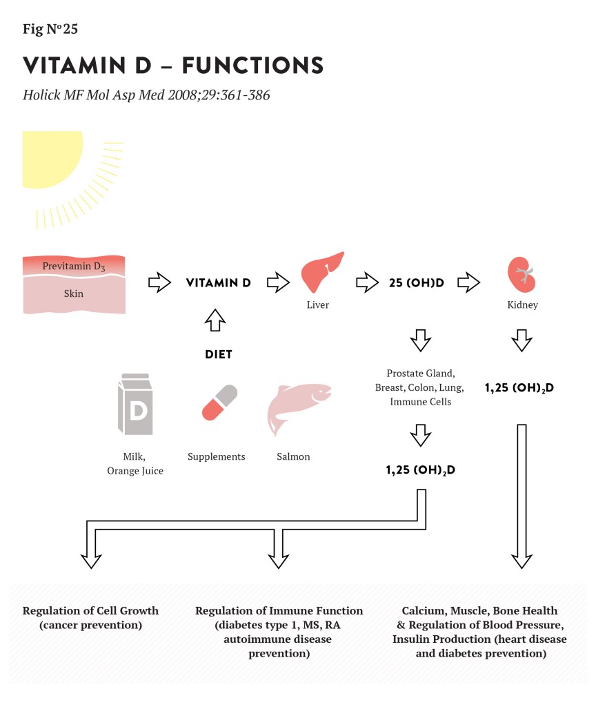 Vitamin D – essential to good health | Stig Bengmark